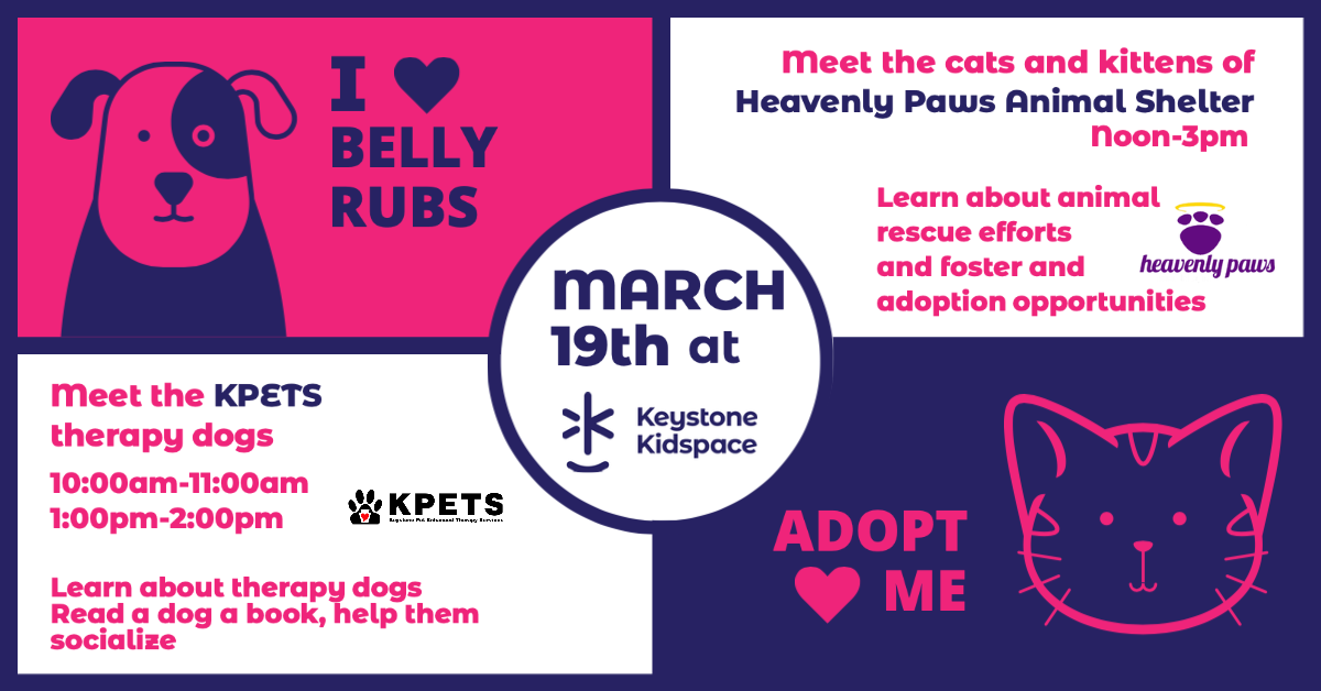 Event - Cats and Dogs at Keystone Kidspace!