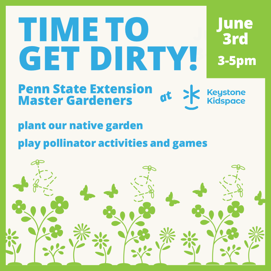 Event - Native Plants and Pollinator Games with the Penn State ...